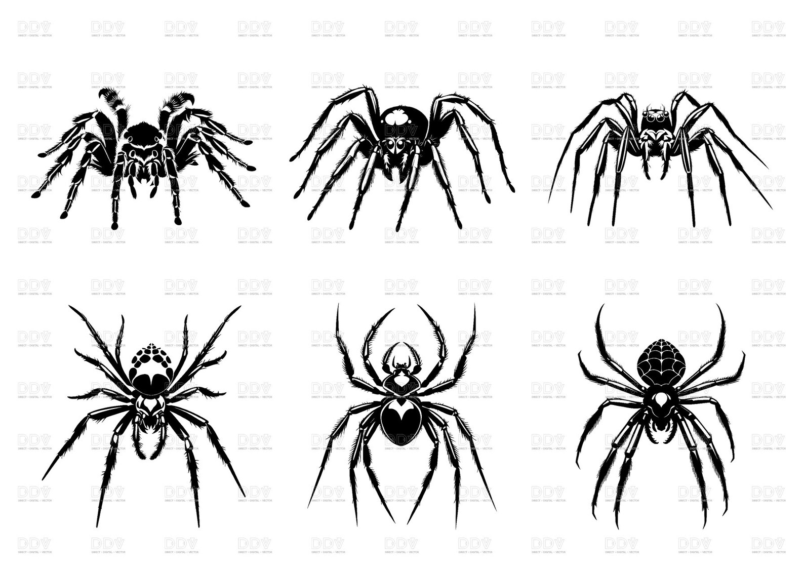 Spider Svg , Vector File, Spider Clipart, Spider Svg for Cricut, Spider ...