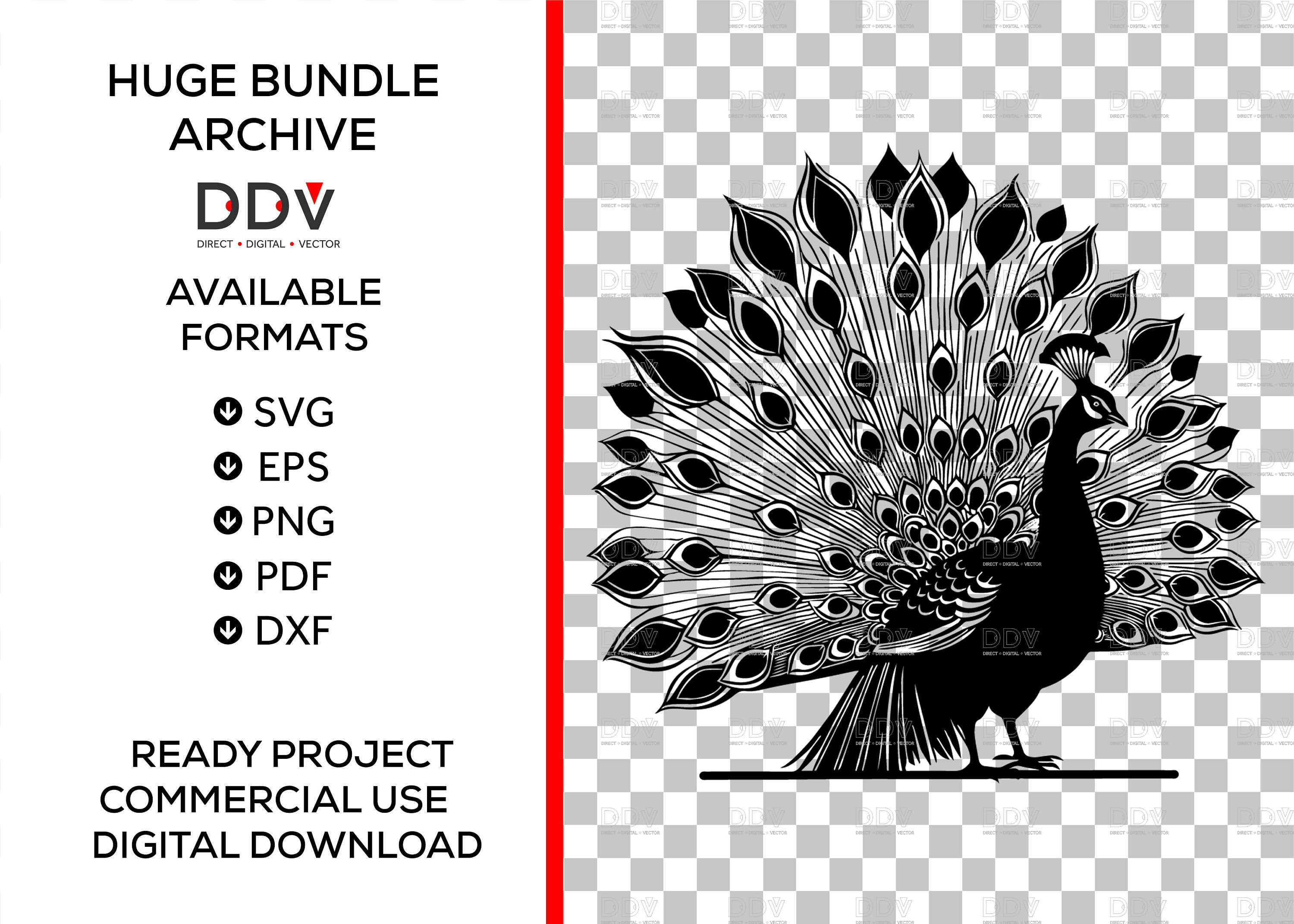 Peacock Svg Bundle, Peacock Cricut, Peacock Vector File, Peacock ...