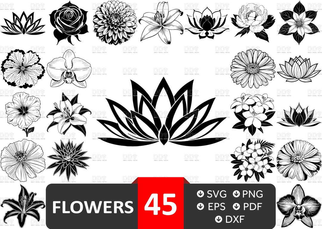 Flower Svg, Floral Svg, Flower SVG Bundle, Botanical Svg Bundle ...