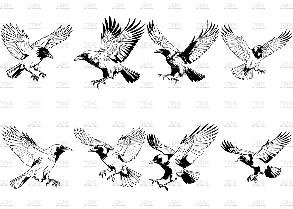 Raven Svg Bundle, Vector File, Raven Svg, Raven Clipart, Raven Cut ...