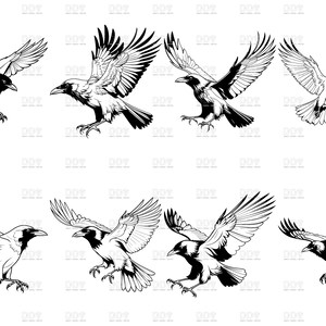 Rabe svg bündel, Vektor-Datei, Rabe svg, Rabe Clipart, Rabe Cut-Dateien ...