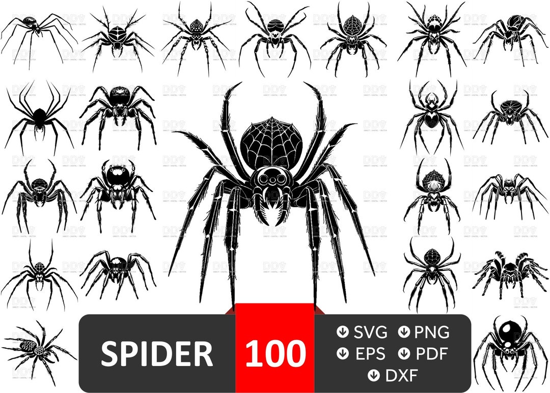 Spider Svg , Vector File, Spider Clipart, Spider Svg for Cricut, Spider ...