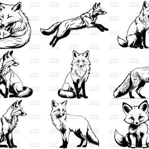 Fox SVG Bundle: Vector Clipart, Cut Files (digital Download) - Etsy