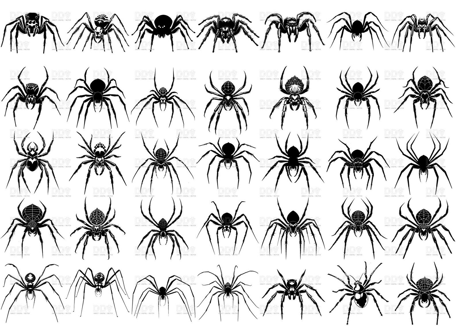 Spider Svg , Vector File, Spider Clipart, Spider Svg for Cricut, Spider ...