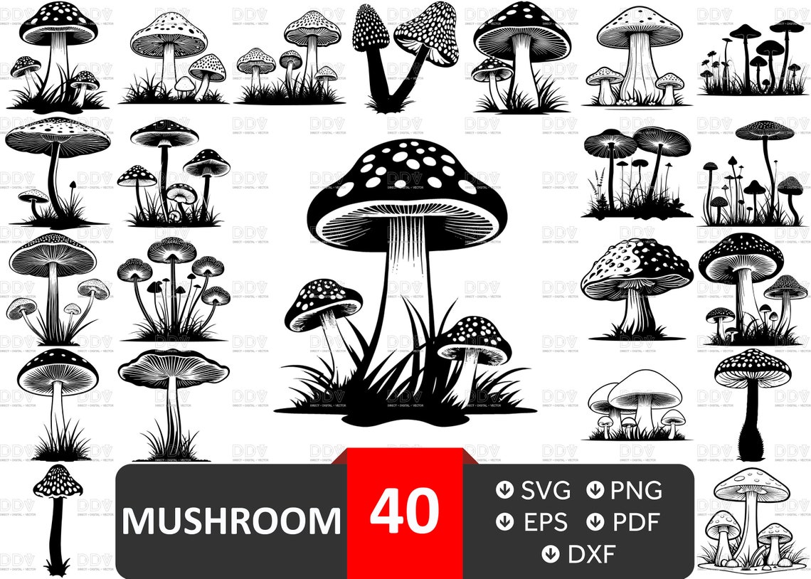 Mushroom Svg Bundle, Vector File, Mushroom Svg, Mushroom Clipart ...