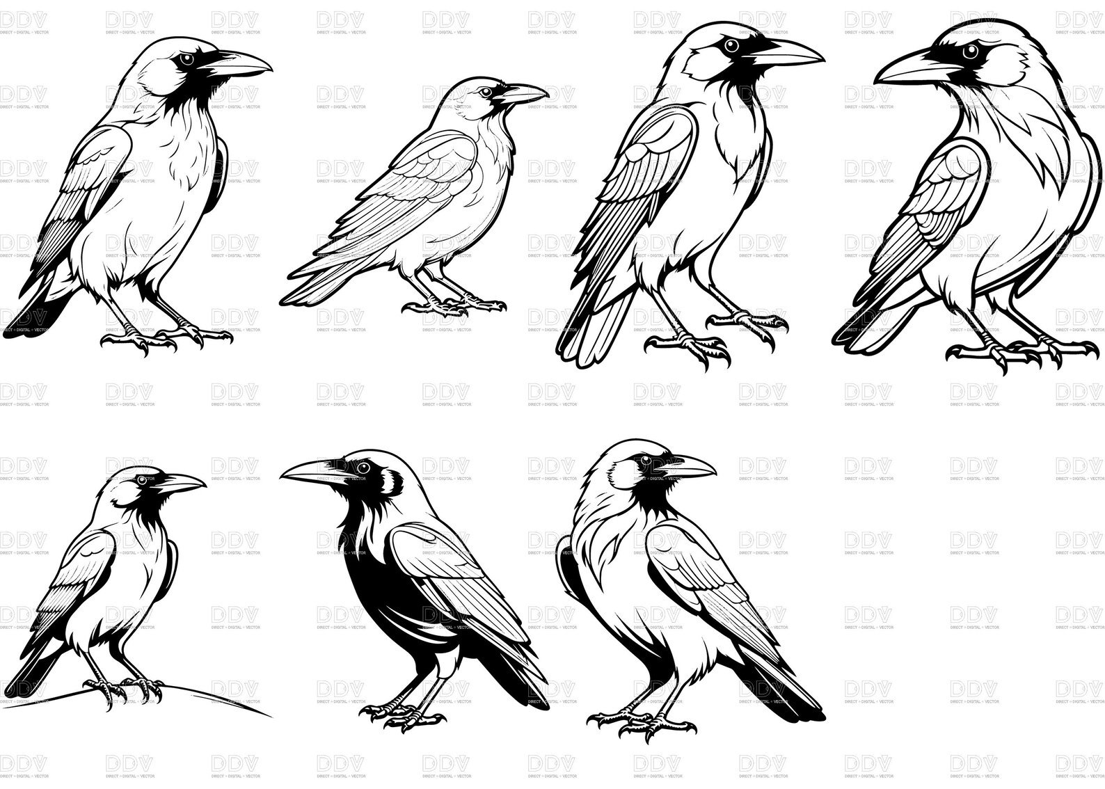 Raven Svg Bundle, Vector File, Raven Svg, Raven Clipart, Raven Cut ...