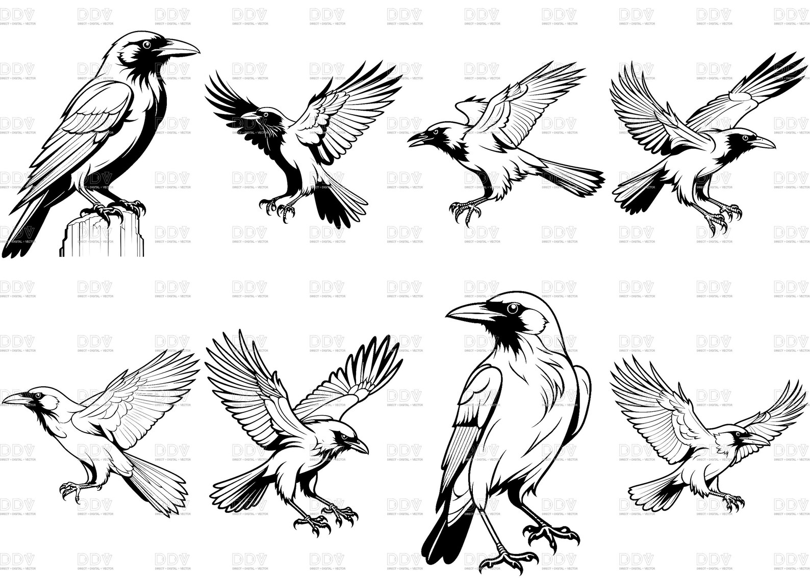 Raven Svg Bundle, Vector File, Raven Svg, Raven Clipart, Raven Cut ...