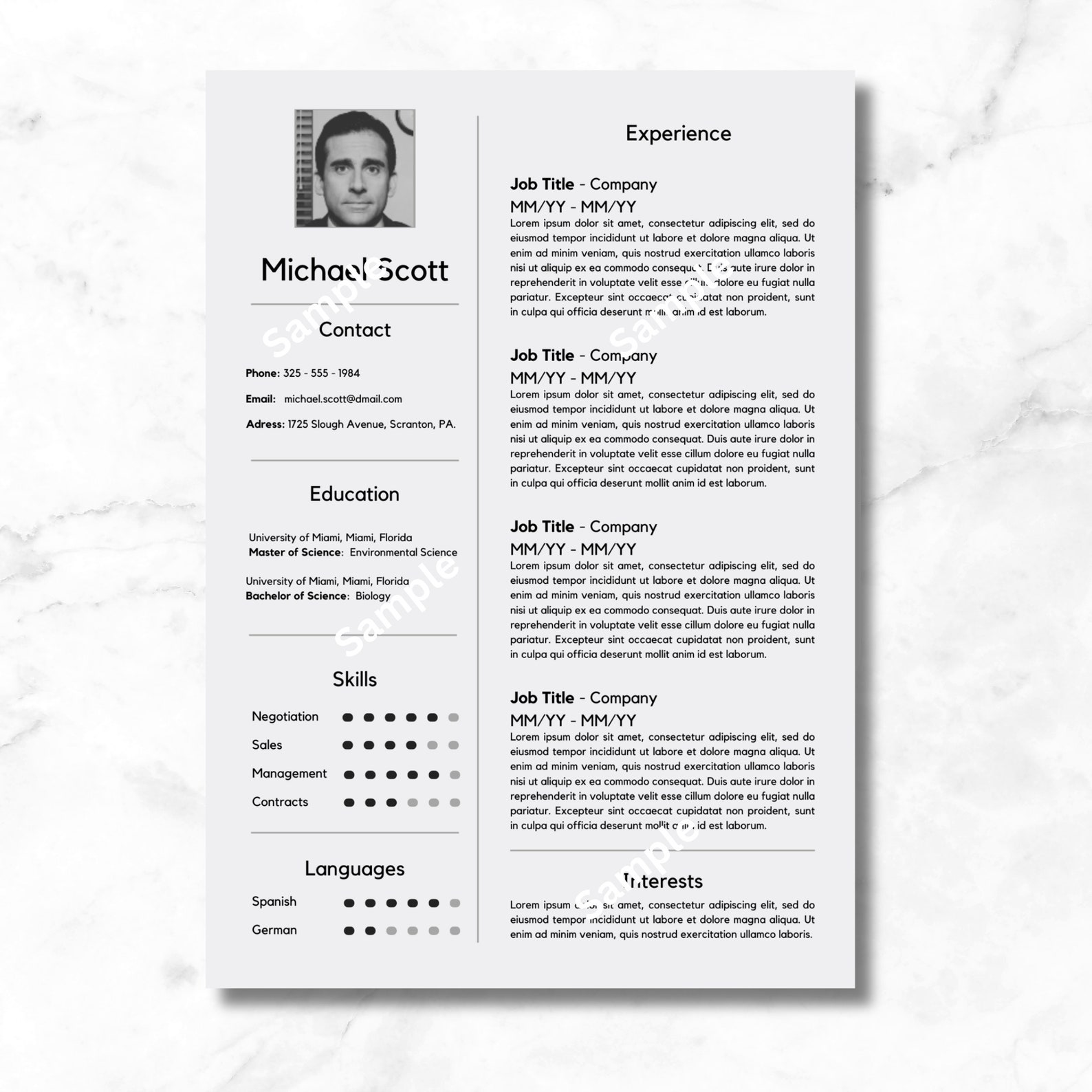 Professional Resume Template, CV Template With Photo, Best Cv Resume ...