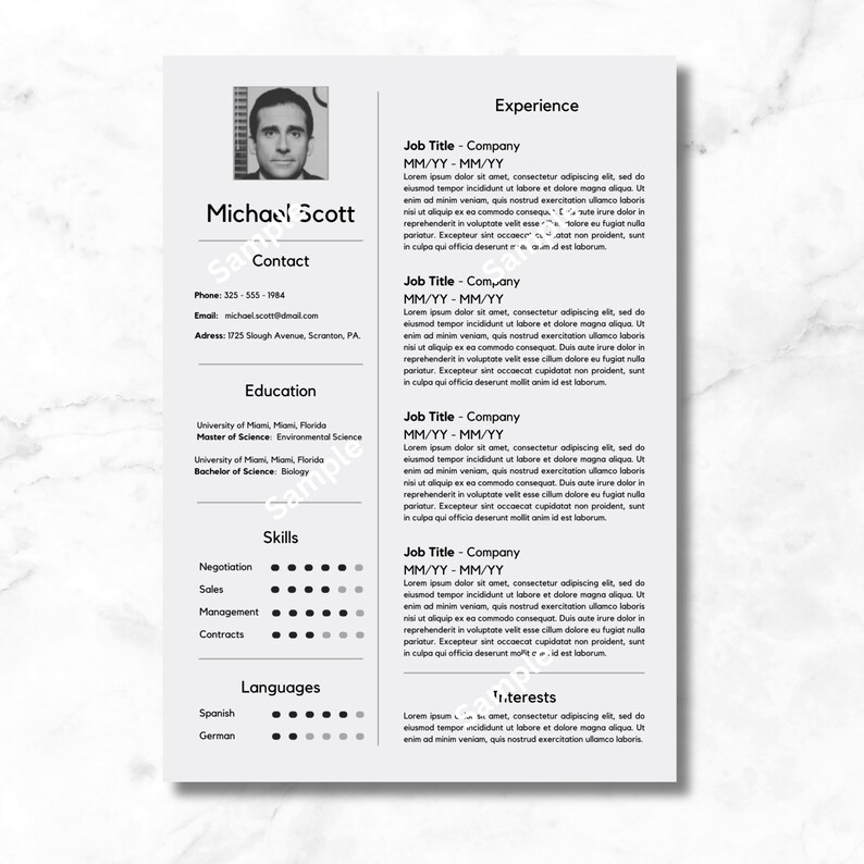 Professional Resume Template, CV Template With Photo, Best Cv Resume ...