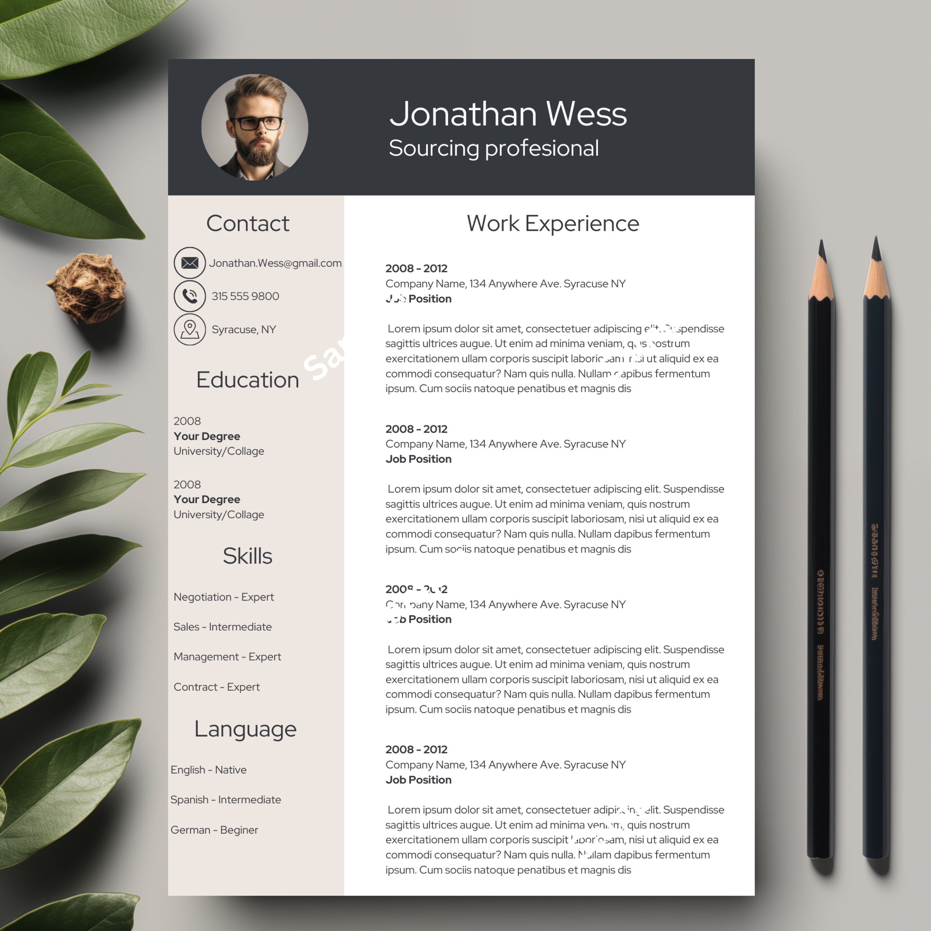 Professional Resume Template, CV Template With Photo, Best Cv Resume ...