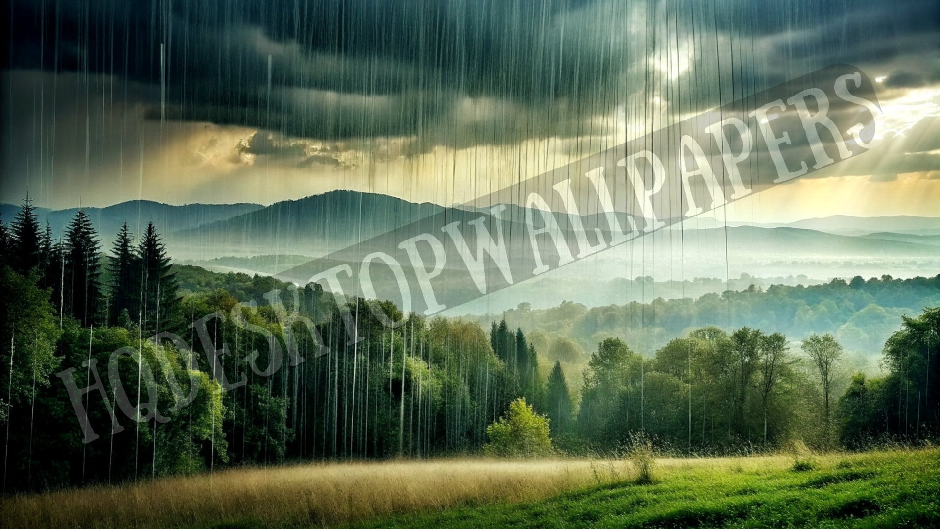 Rain HQ Desktop Wallpaper Pack - Etsy