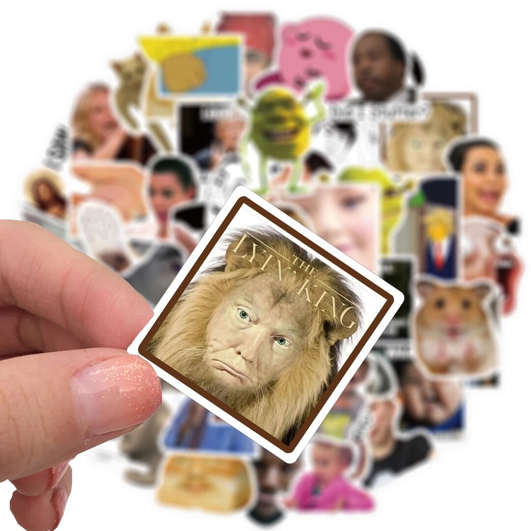 50 Stickers Pack Funny Meme Stickers for Laptop Cell Phone Water Bottle ...