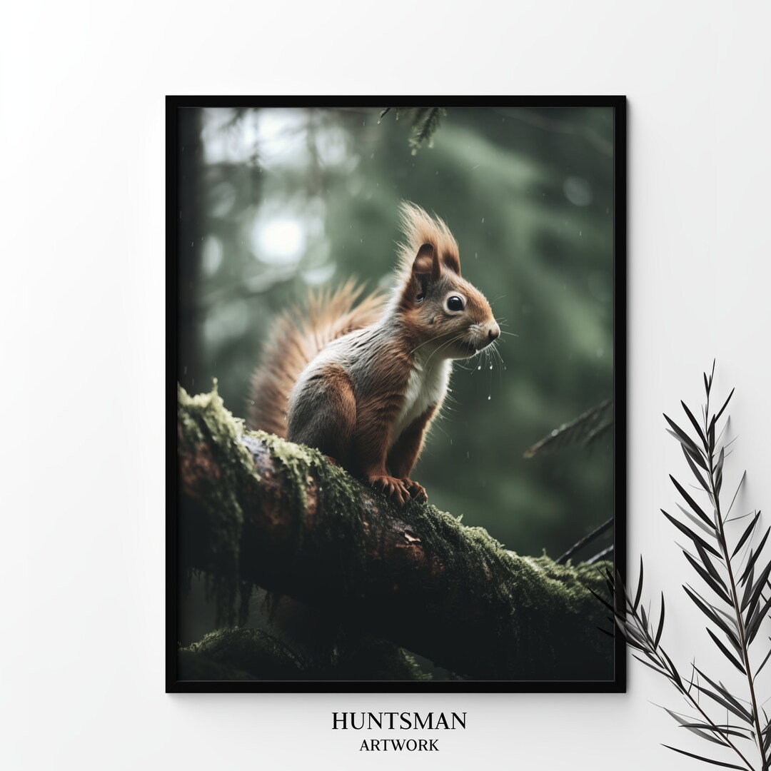 Red Squirrel Wall Art, Rainy Forest Animal Home Decor, Grey Squirrel Print, Wild Animal Nature ...