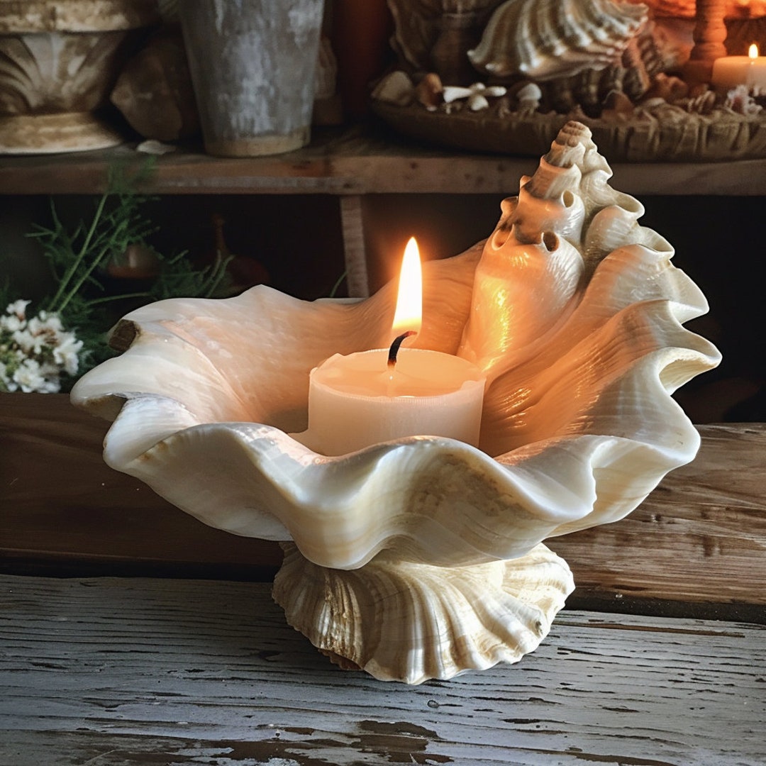 Handcrafted Seashell Candle Holders for a Beachy Ambiance - Etsy