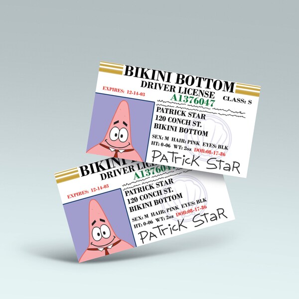 FUNNY FAKE LICENSE - Etsy