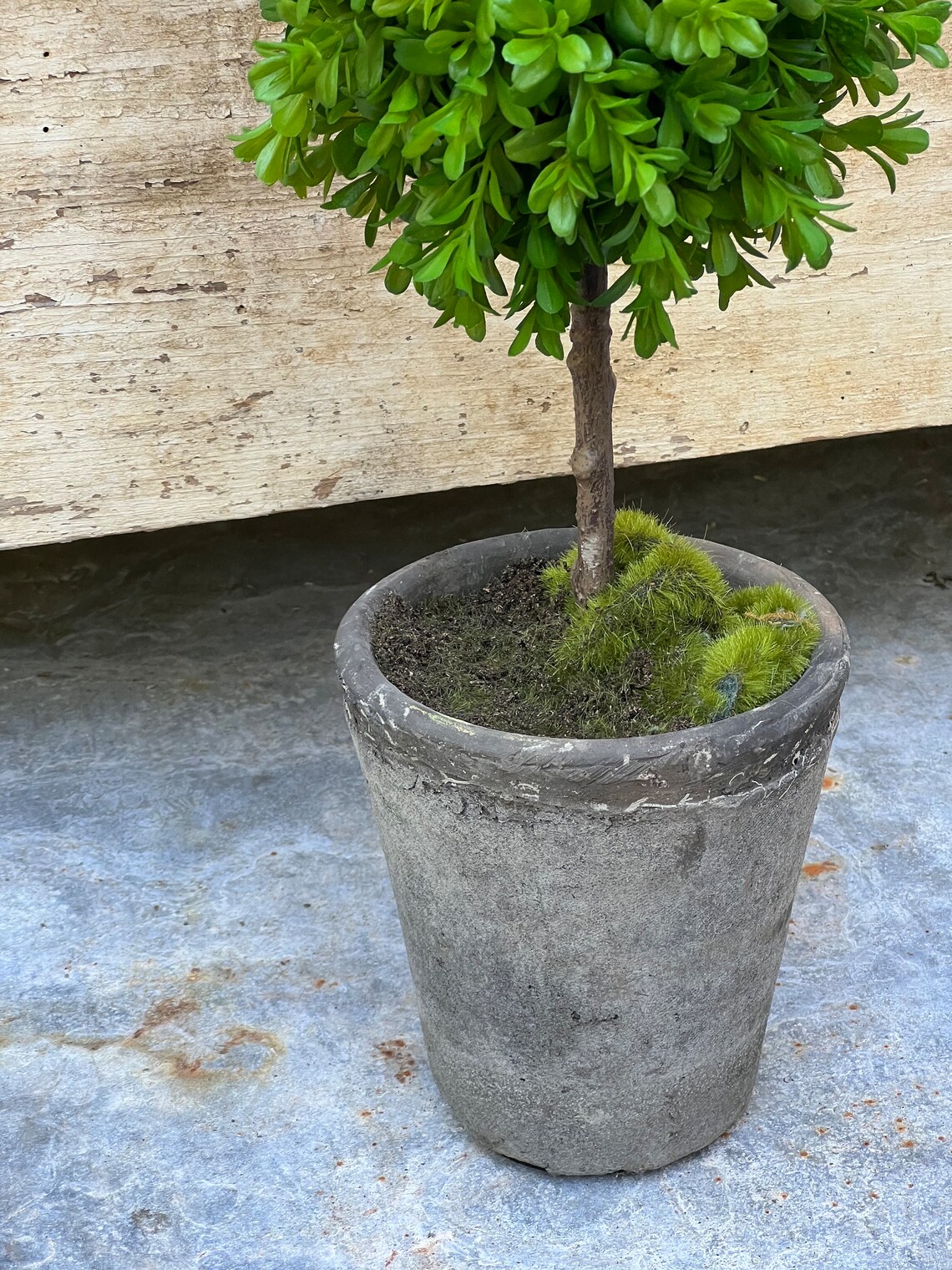 Faux Boxwood 2 Ball Topiary in Clay Pot - Etsy