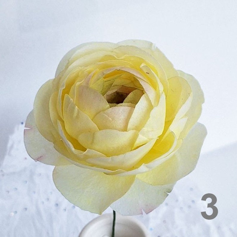 Handmade Wafer Paper Flowers - Etsy