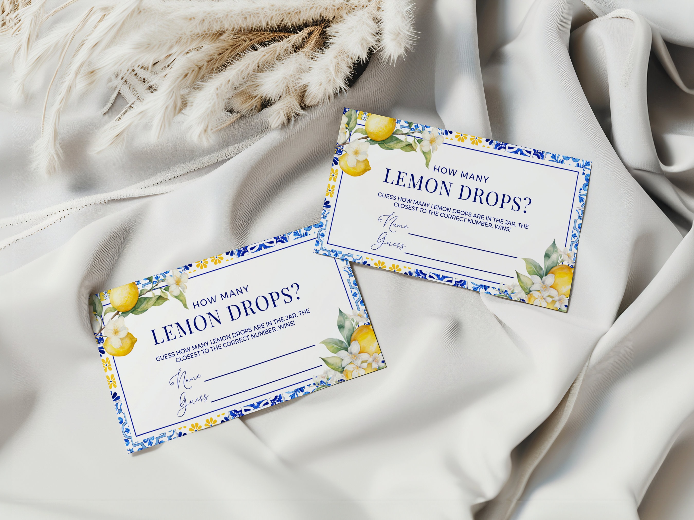 Guess How Many Lemon Drops Game Sign & Answer Ticket - Amalfi Coast ...