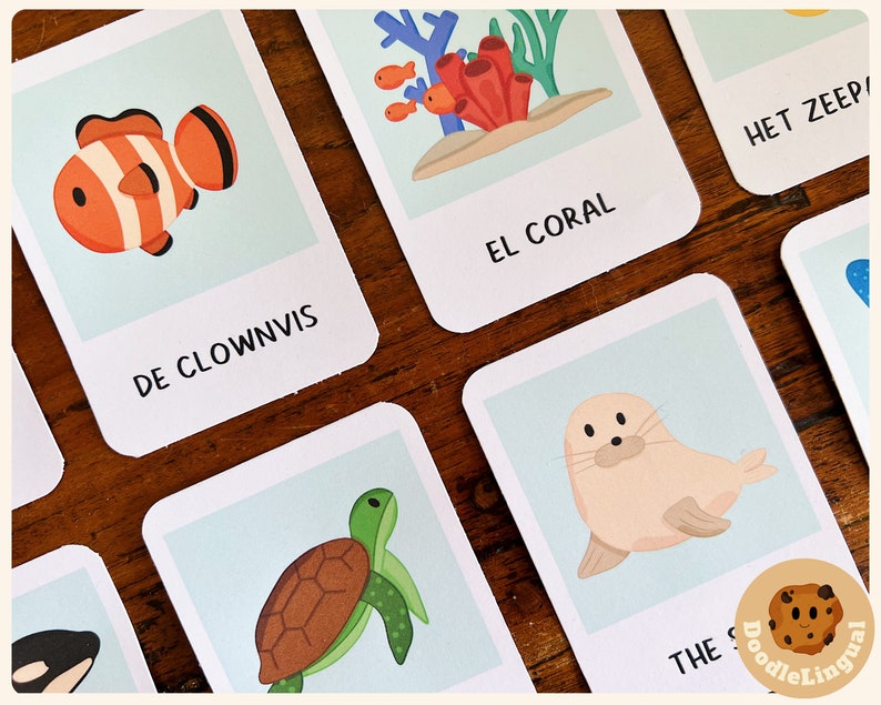 Educational Flashcards in DUTCH Language 24 SEA LIFE Flashcards for ...