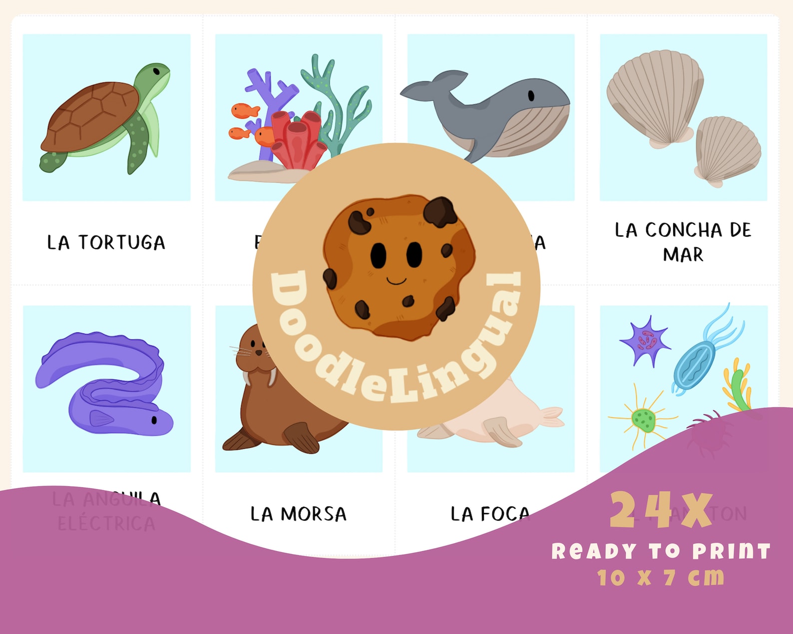 Educational Flashcards in SPANISH Language 24 SEA LIFE Flashcards for ...