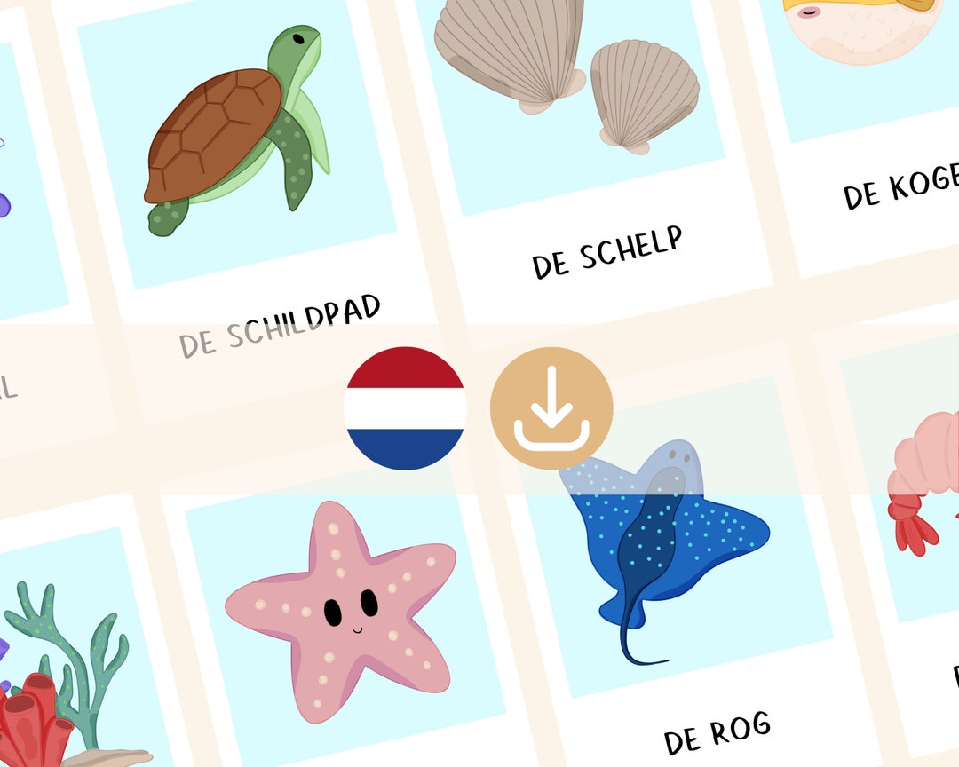 Educational Flashcards in DUTCH Language 24 SEA LIFE Flashcards for ...