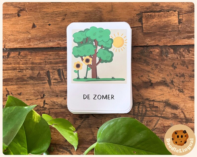 Educational Flashcards in DUTCH Language 24 WEATHER Flashcards for ...