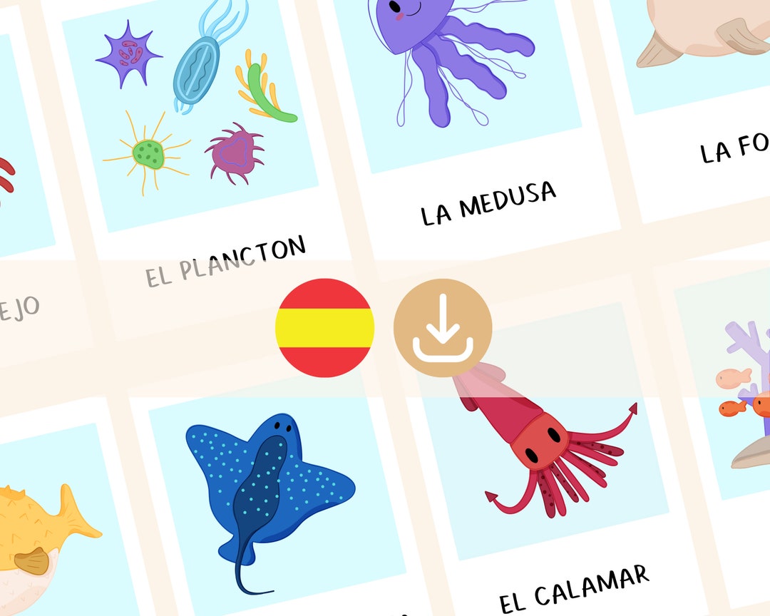Educational Flashcards in SPANISH Language 24 SEA LIFE Flashcards for ...