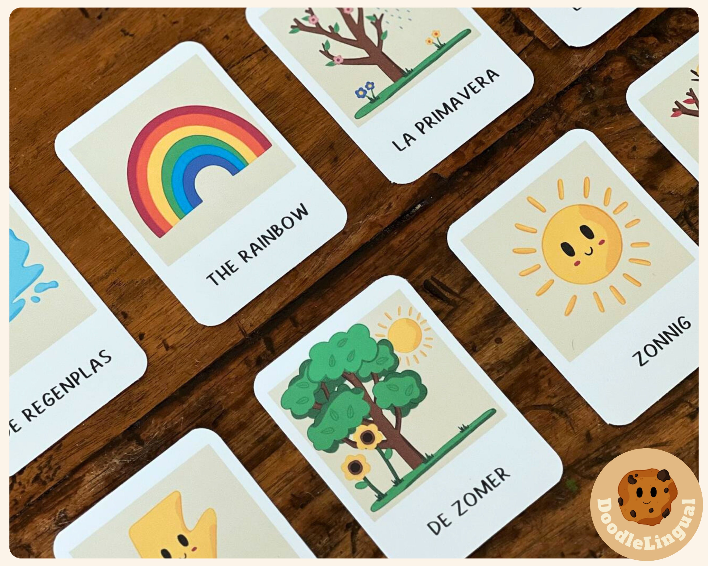 Educational Flashcards in DUTCH Language 24 WEATHER Flashcards for ...