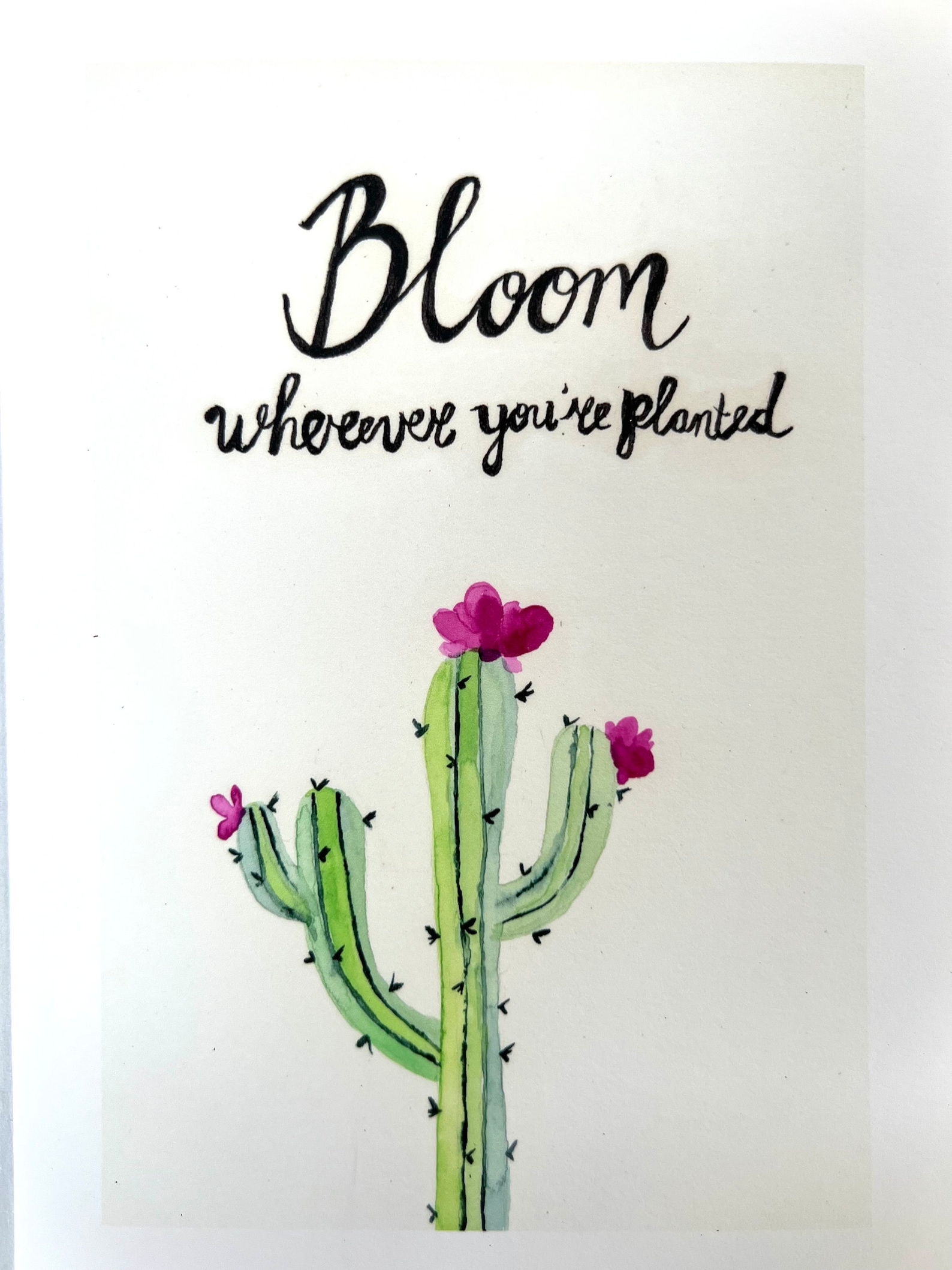 Bloom Wherever You Are Planted, Cactus, Giclee Islamic Gift Art Print ...