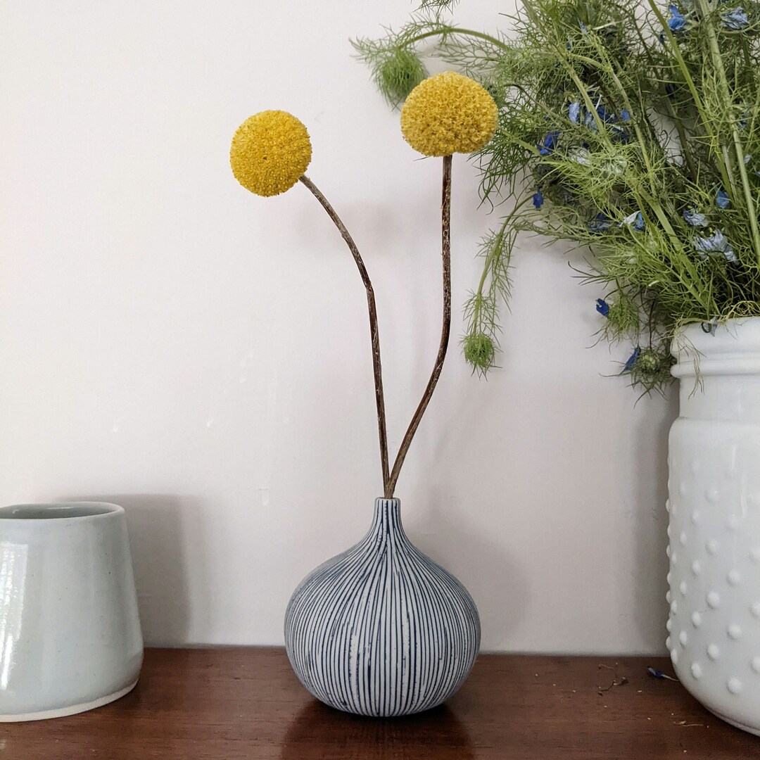 Dried Yellow Billy Buttons, Dried Yellow Craspedia, 10 Stems, Floral ...