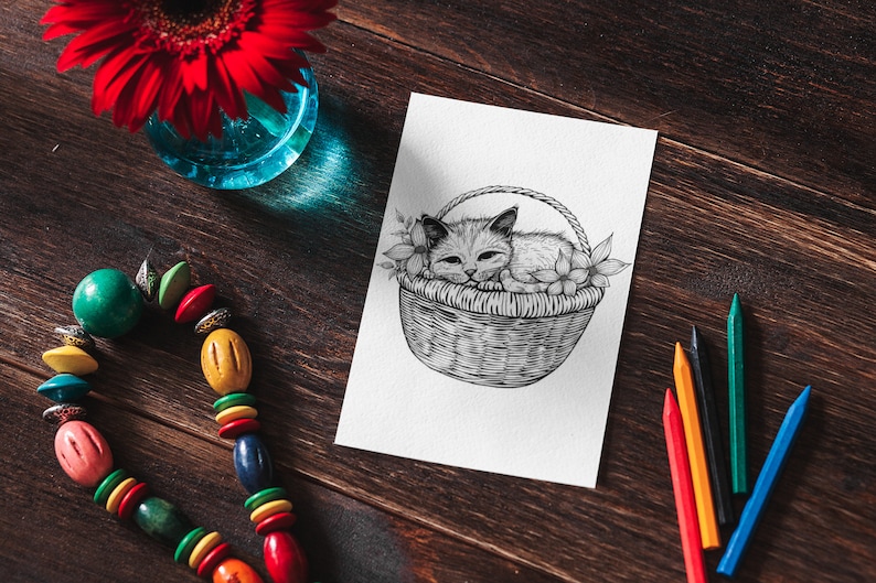 Set of 8 Coloring Pages, Cat in Basket Coloring, Relaxation Activity ...