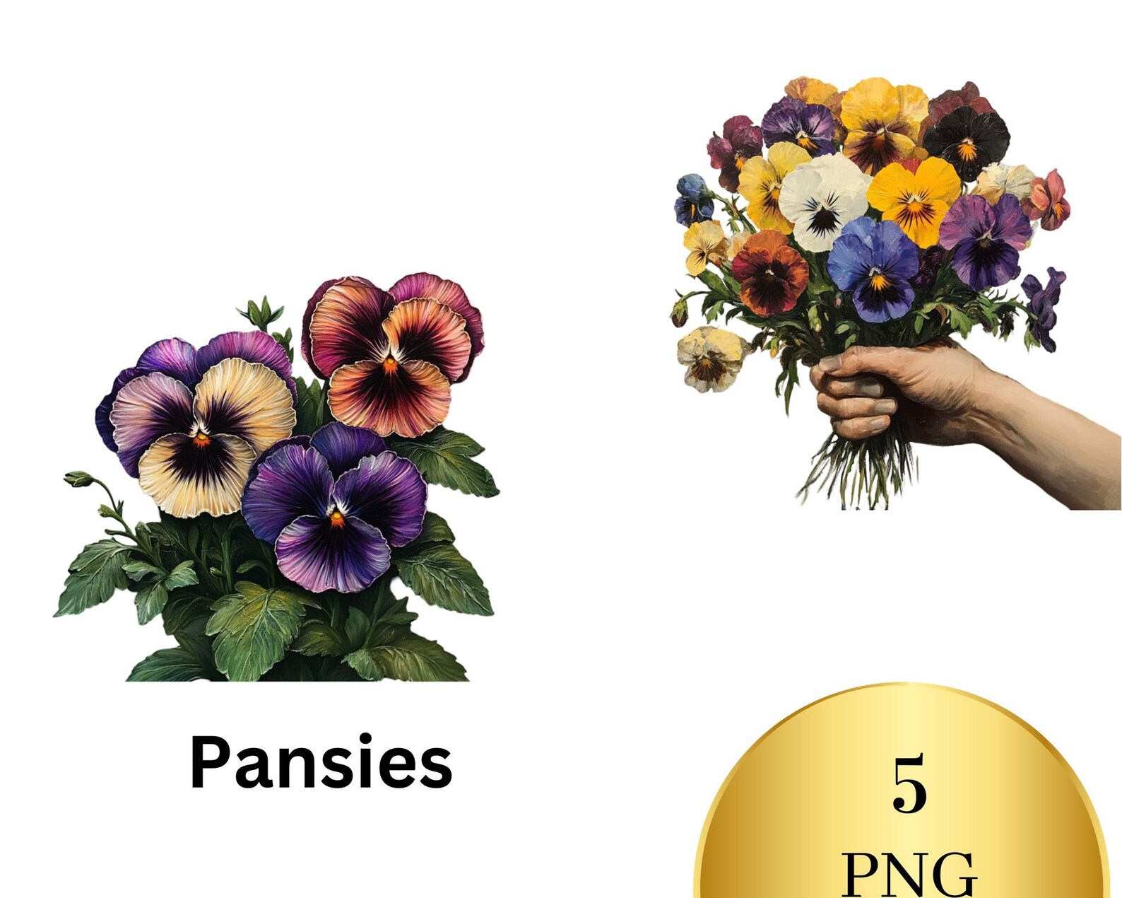 Set of 5 Pansies Clipart, Pansy Flowers, Floral Clipart, Pansy ...
