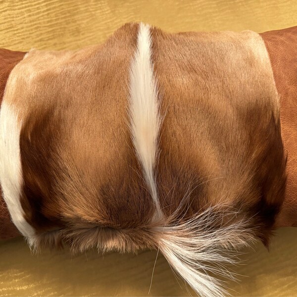Springbok Hide - Etsy