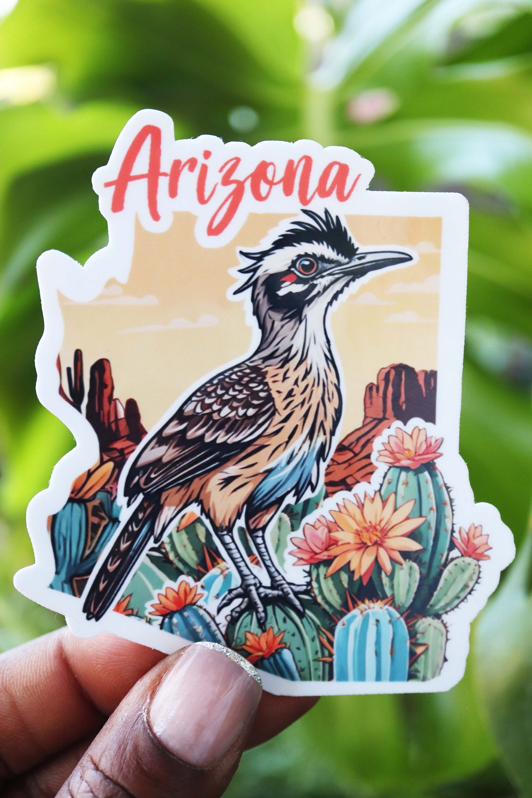 Arizona State Roadrunner Vinyl Sticker, Fun Arizona Sticker, Desert ...