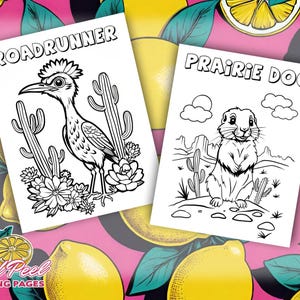 8 Printable Arizona Desert Animals Coloring Pages for Kids, Toddlers ...