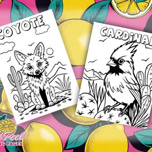 8 Printable Arizona Desert Animals Coloring Pages for Kids, Toddlers ...