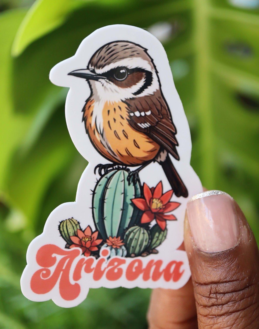 Cactus Wren Vinyl Sticker, Cactus Sticker, Illustrated Sticker, Cute ...