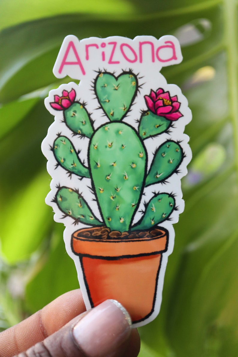 Arizona Sticker, Prickly Pear, Funny Sticker, Cactus Sticker, Desert ...