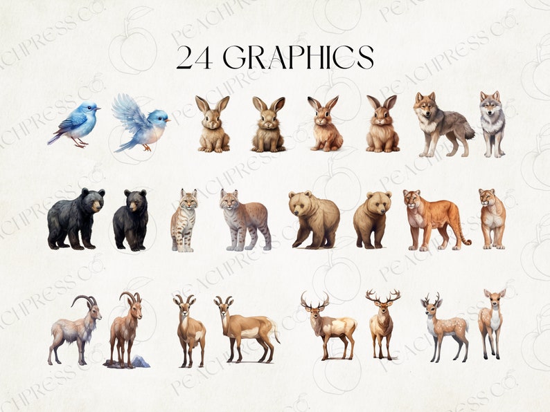 Woodland Forest Animals Clipart, Adventure Mountain Animals Clipart ...