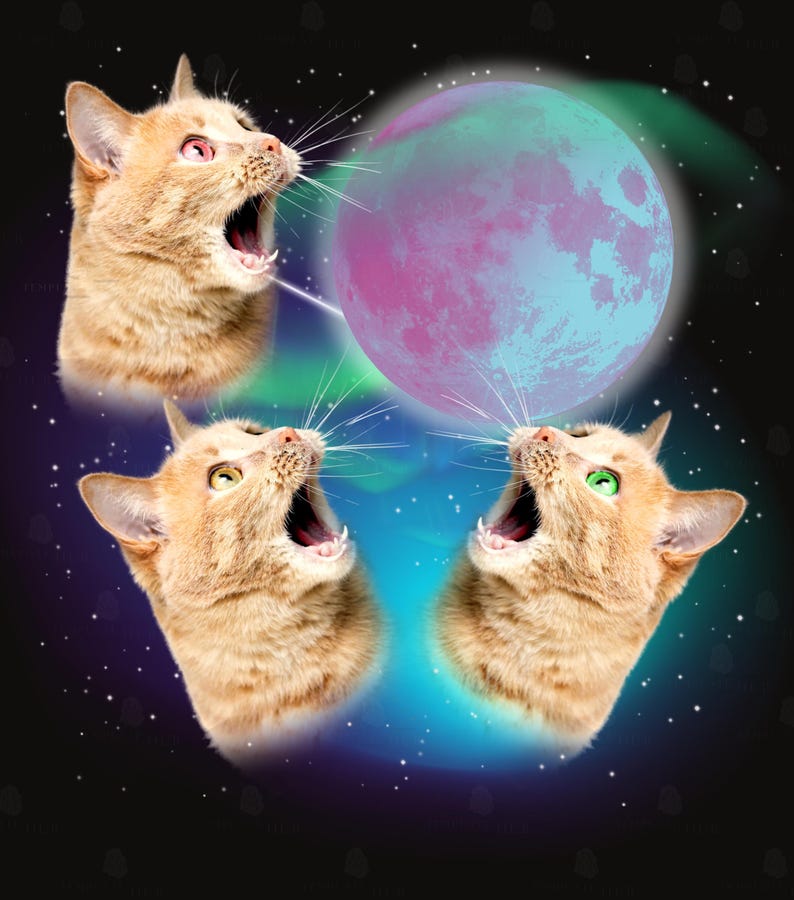 Funny Three Cats Howling at the Moon PNG | Digital Cat Meme Art |space ...