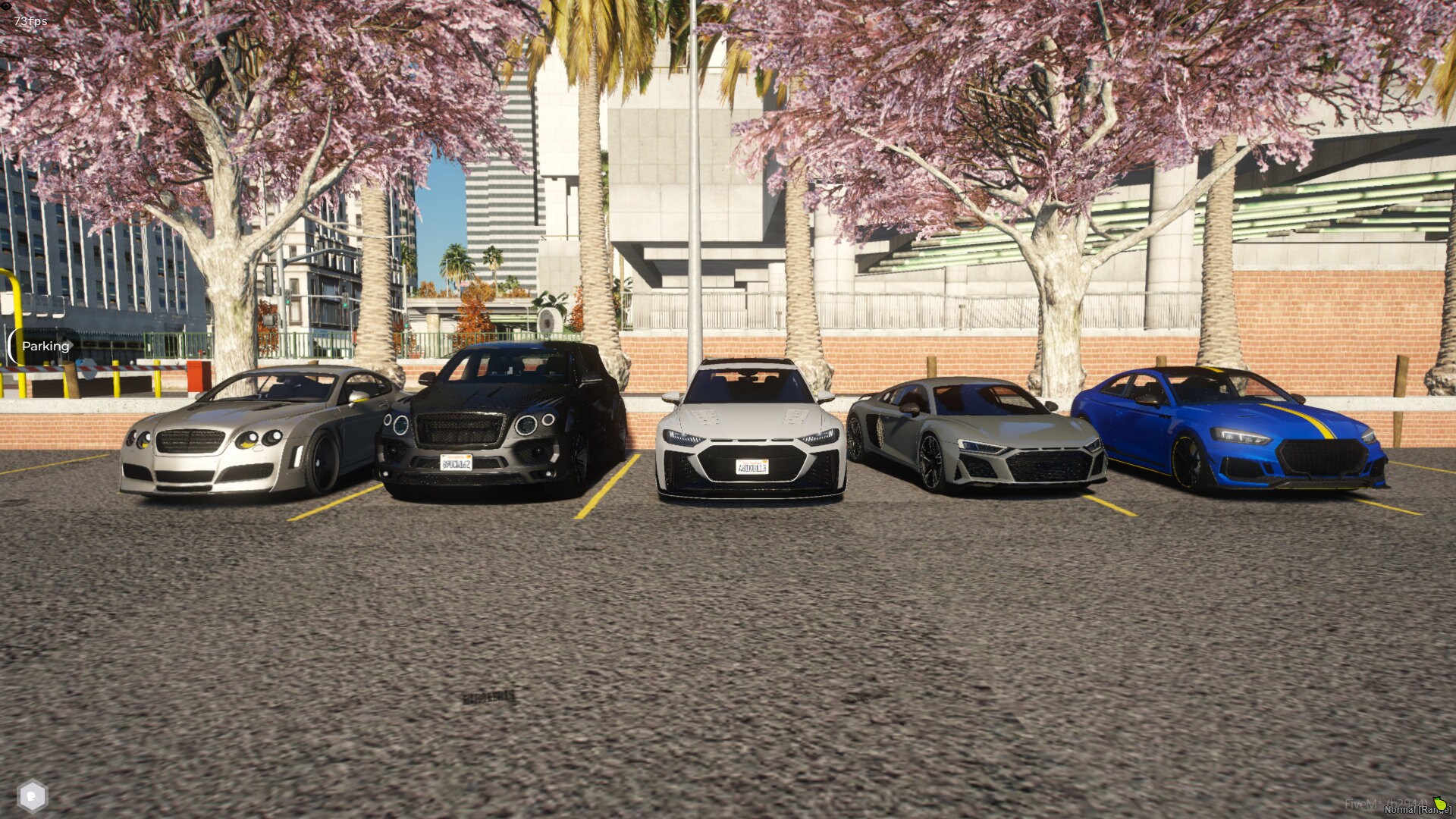 5 Car Pack Debadged for Fivem - Etsy