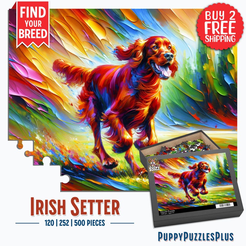 Irish Setter Art - Etsy