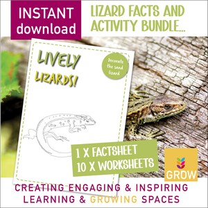 Lively Lizards Fact Sheet Activity Pack | Nature Wildlife Learning ...