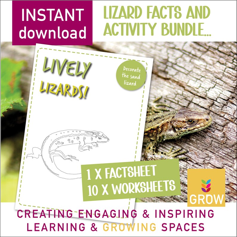 Lively Lizards Fact Sheet Activity Pack | Nature Wildlife Learning ...