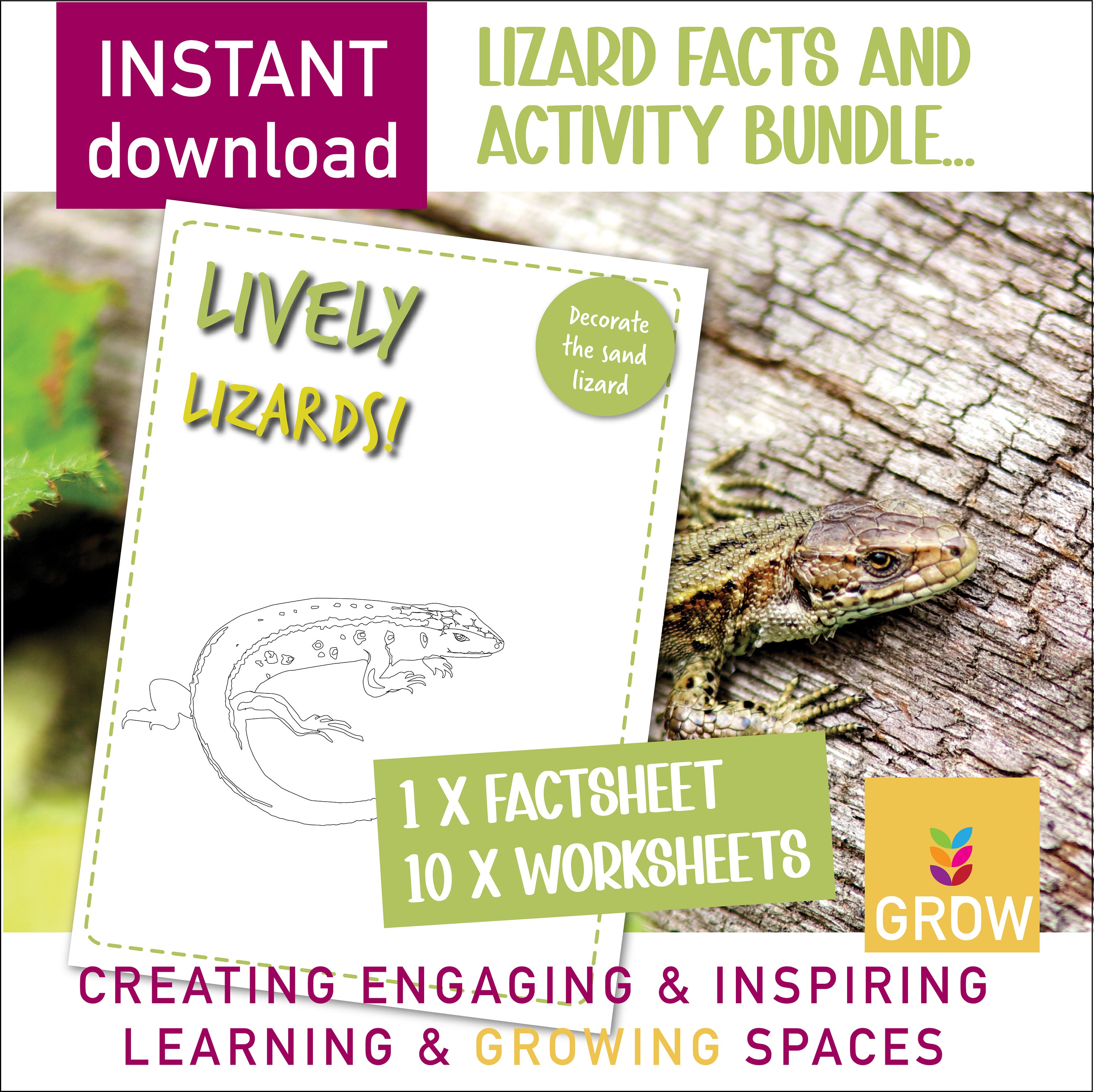 Lively Lizards Fact Sheet Activity Pack | Nature Wildlife Learning ...