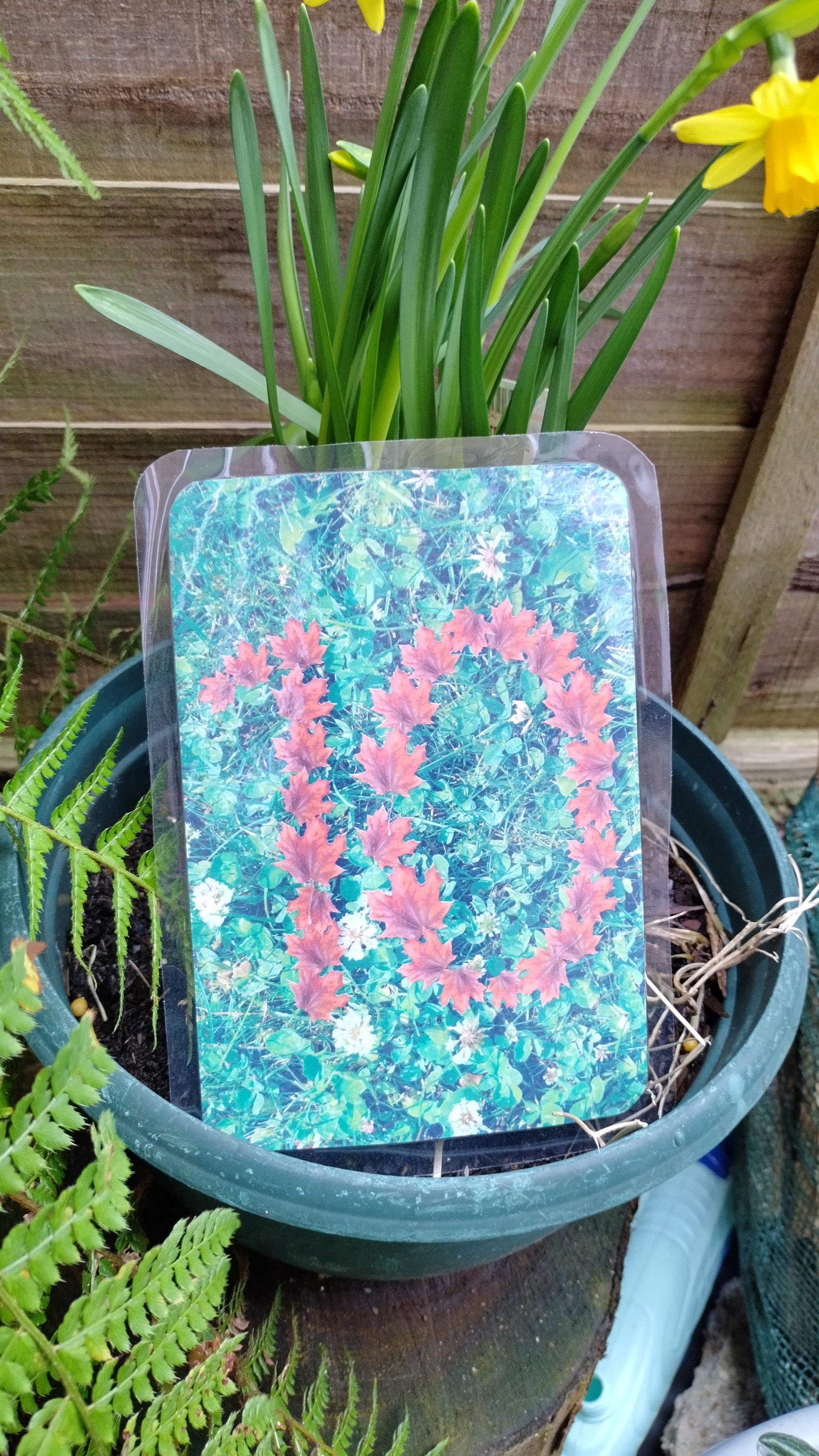 Nature Natural Number Cards 1-10 Printable | EYFS Resource Montesssori ...