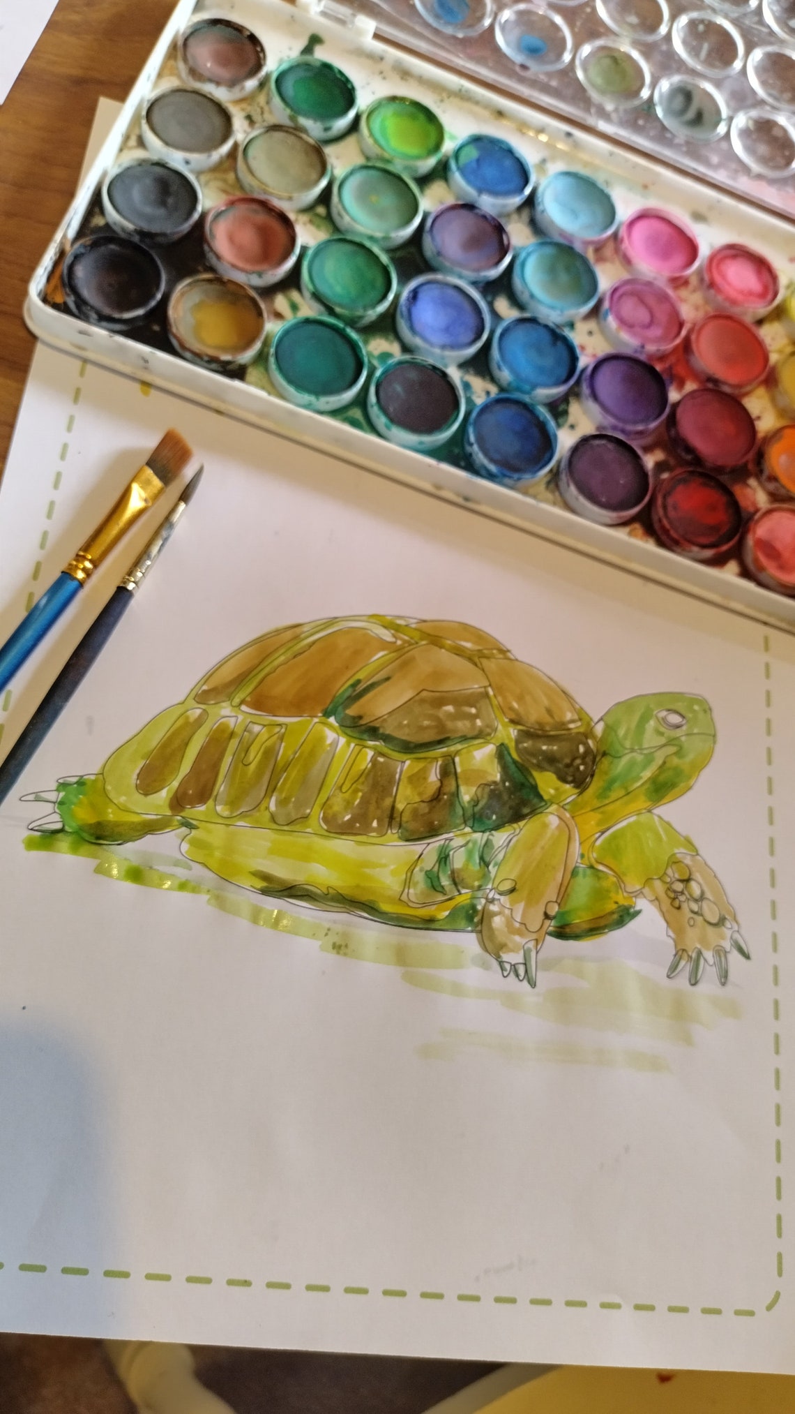 Terrific Tortoises Fact Sheet Activity Pack | Nature Wildlife Learning ...