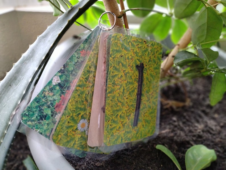 Nature Natural Number Cards 1-10 Printable | EYFS Resource Montesssori ...