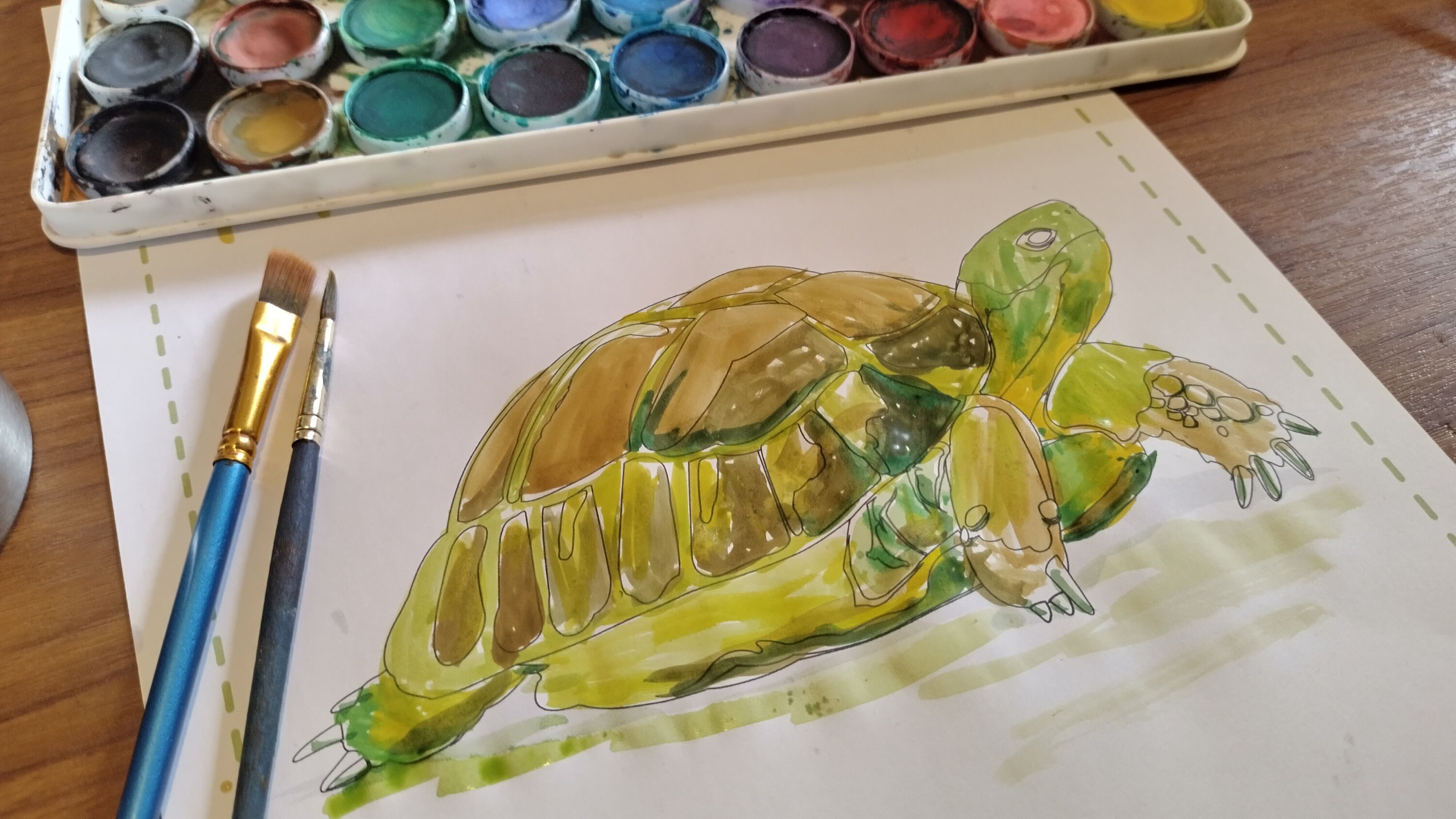 Terrific Tortoises Fact Sheet Activity Pack | Nature Wildlife Learning ...