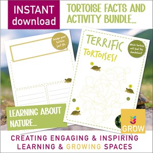 Terrific Tortoises Fact Sheet Activity Pack | Nature Wildlife Learning ...
